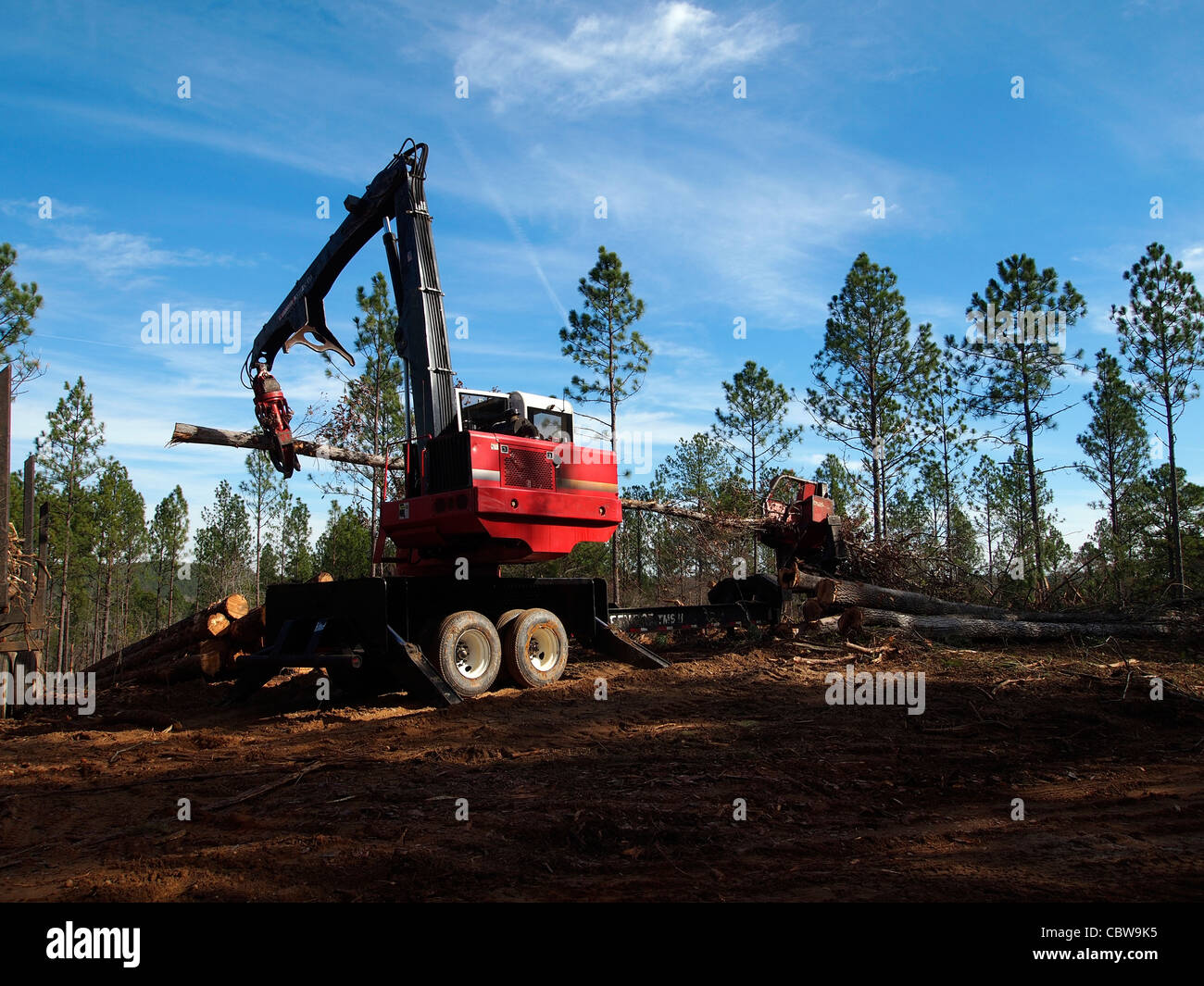 A machine loads a logging truck at a timber sale Stock Photo - Alamy