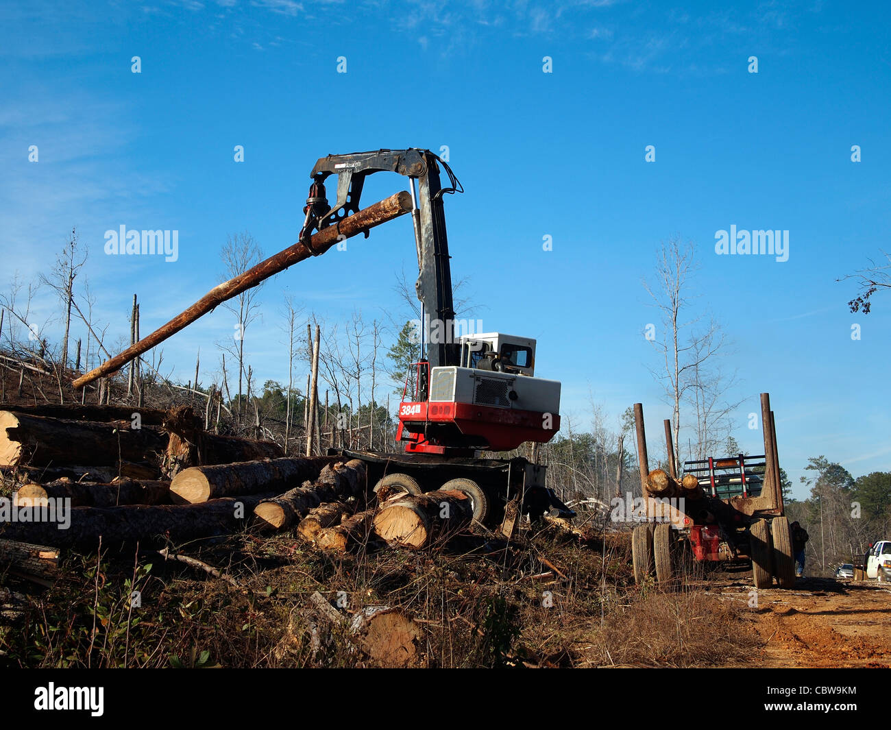 A machine loads a logging truck at a timber sale Stock Photo - Alamy