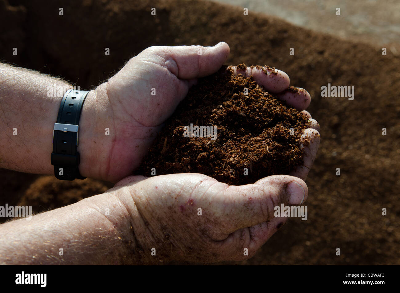 handful of compost Stock Photo - Alamy