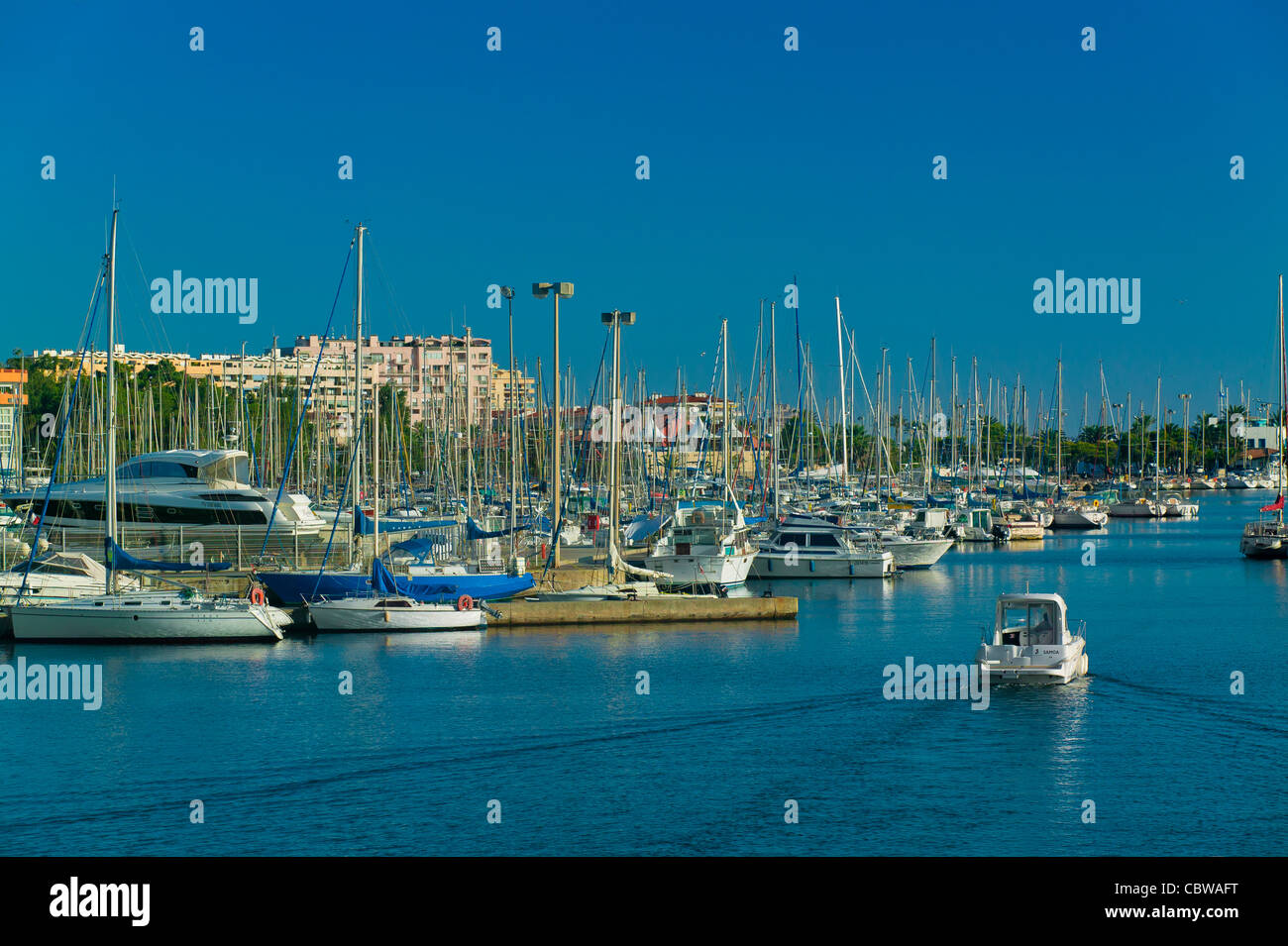 Saint-Cyprien,Pyrenees-Orientales, Languedoc-Roussillon, France Stock ...