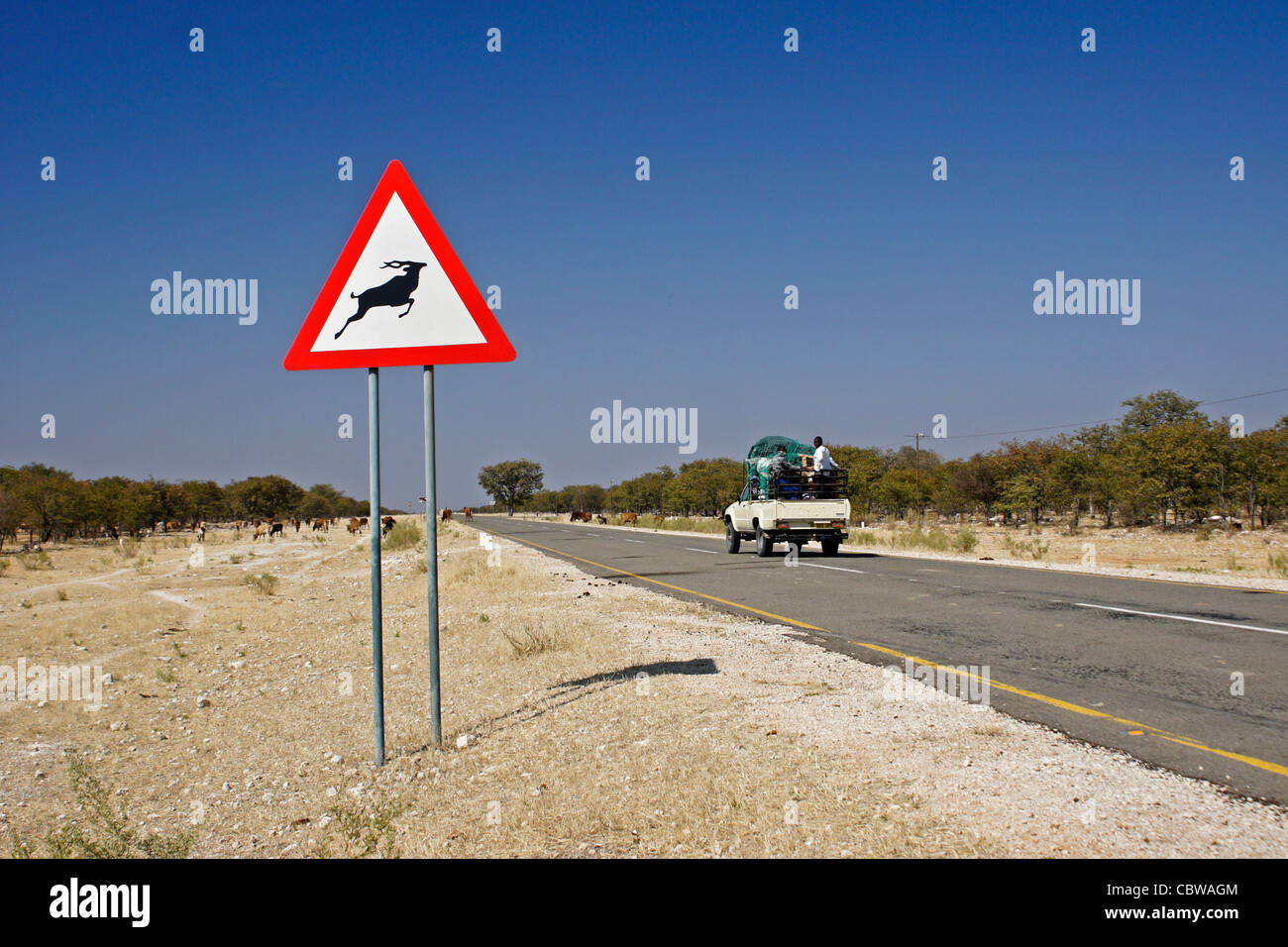 Warning sign for kudu crossing highway, Namibia Stock Photo - Alamy