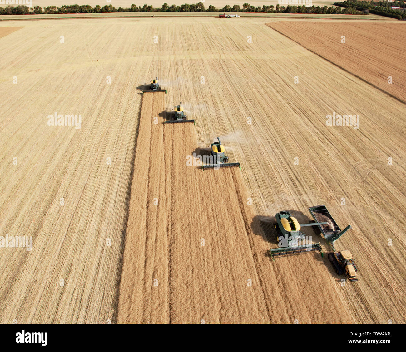 Combine harvesters formation hi-res stock photography and images - Alamy