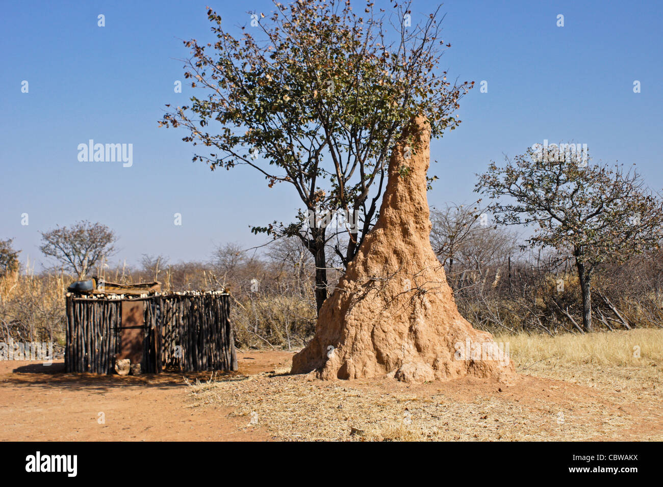 Termite mounds africa hi-res stock photography and images - Alamy