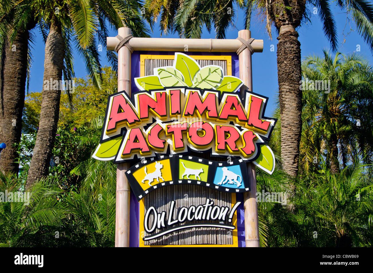 Animal actors hi-res stock photography and images - Alamy