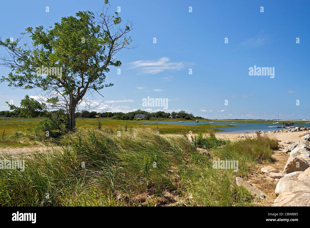 Massachusetts beach and wetlands hi-res stock photography and images ...