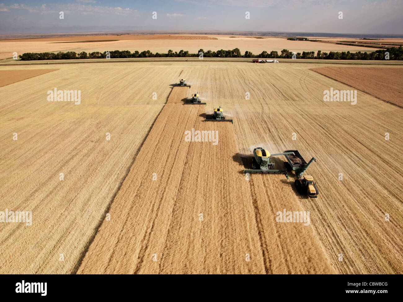 Combine harvesters formation hi-res stock photography and images - Alamy