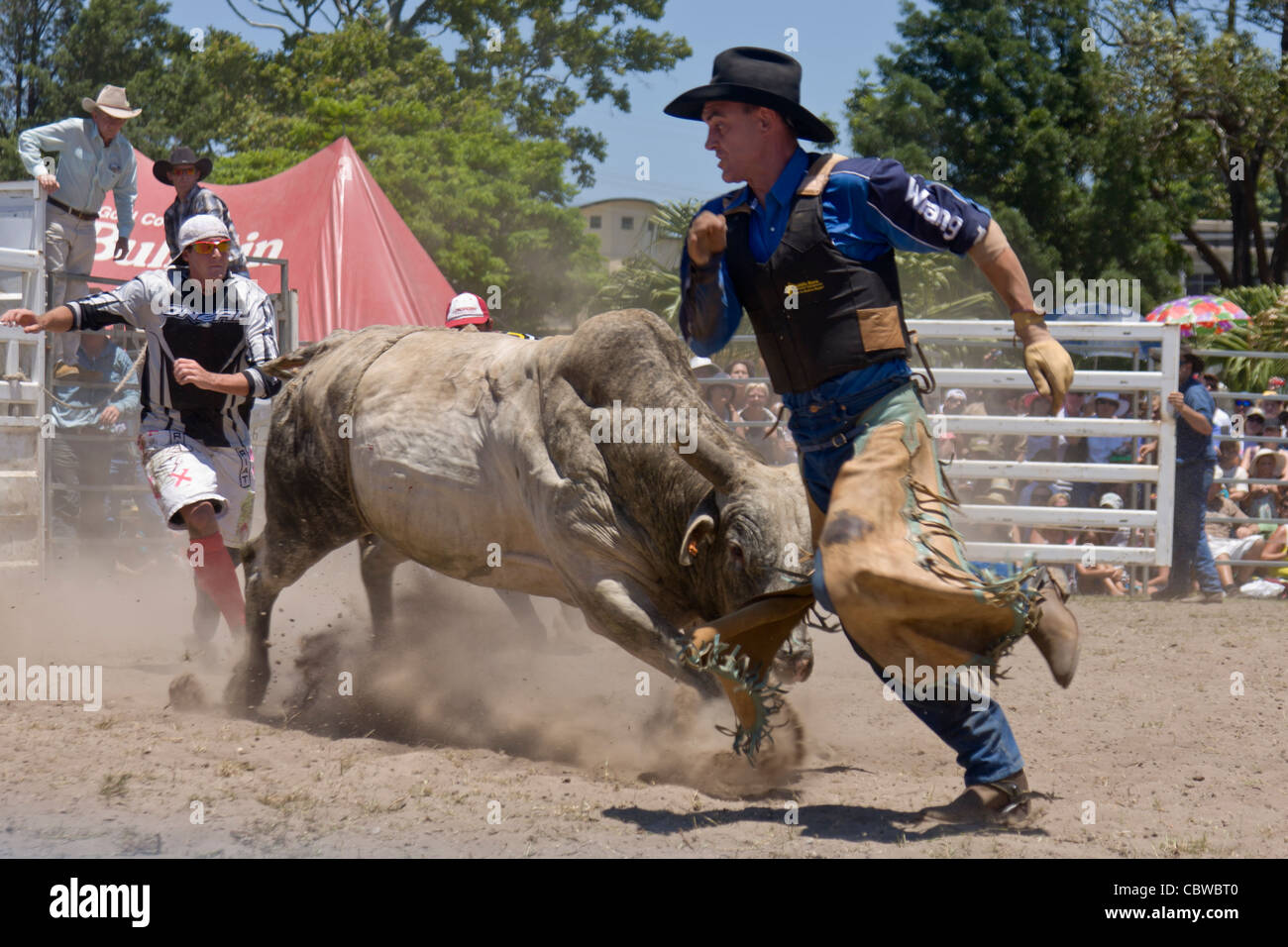 Rodeo action at Southport Australia Day Rodeo Stock Photo - Alamy