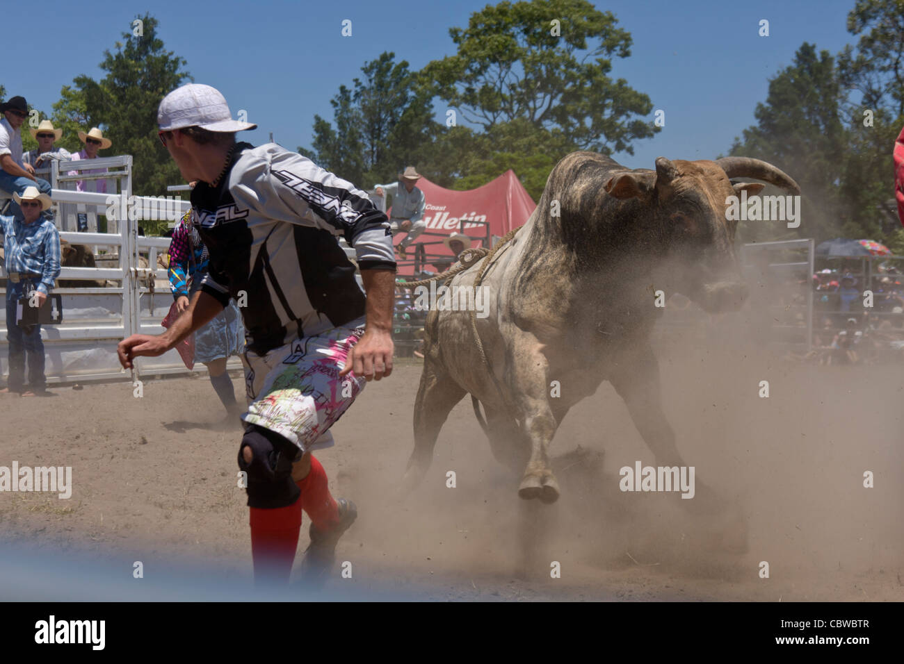 Rodeo action at Southport Australia Day Rodeo Stock Photo - Alamy