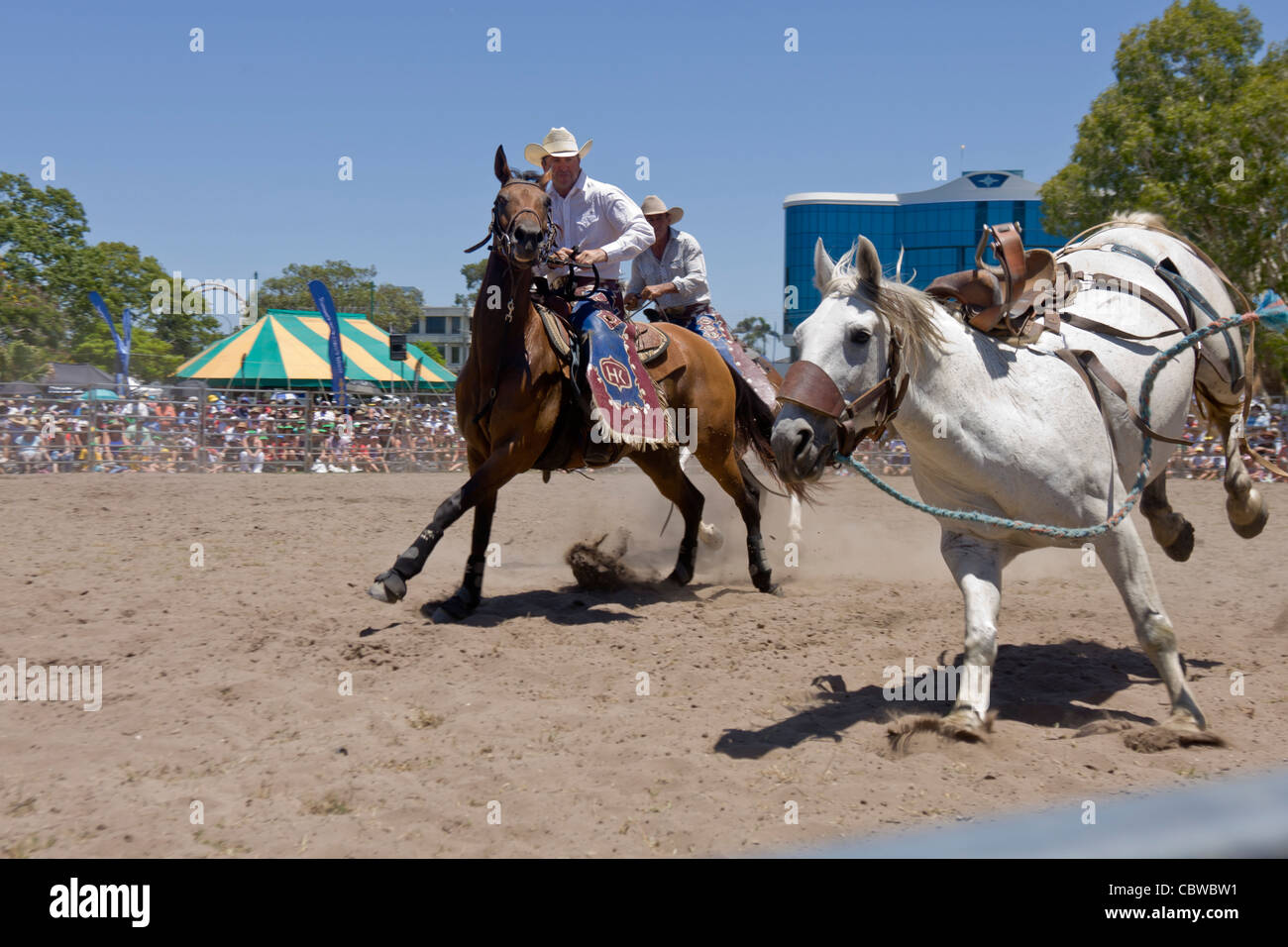 Rodeo action at Southport Australia Day Rodeo Stock Photo - Alamy
