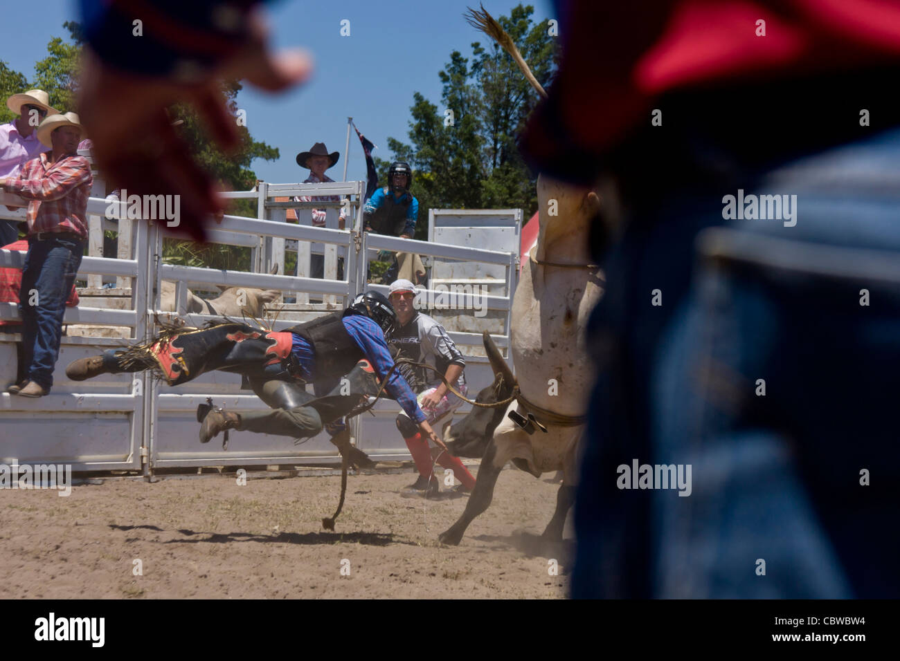 Rodeo action hi-res stock photography and images - Alamy