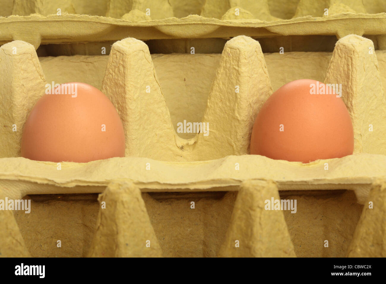 yellow egg box background texture Stock Photo - Alamy