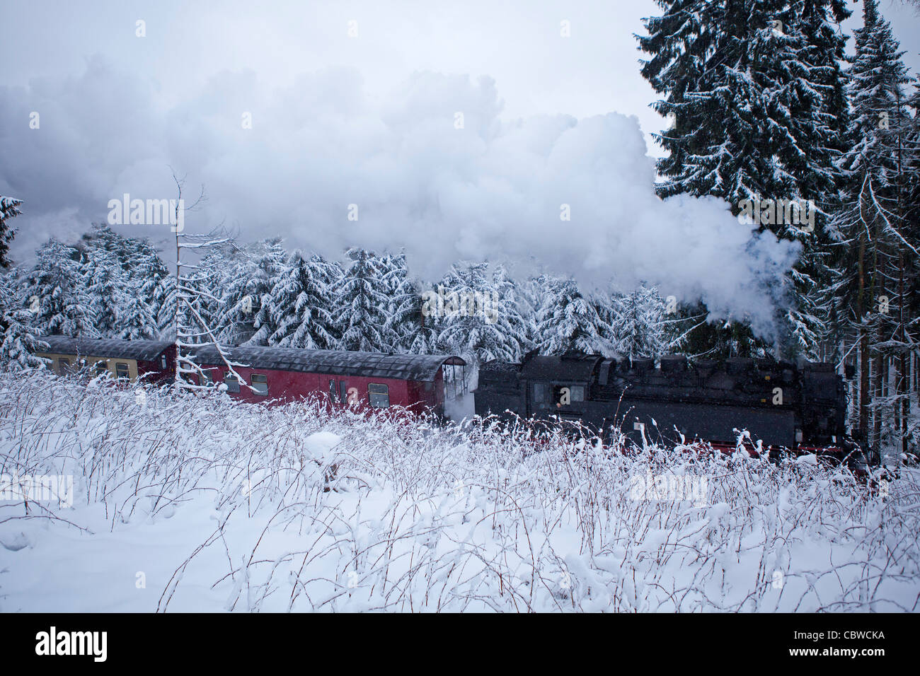 steam train Brockenbahn traveling through the snowy landscape near Drei ...