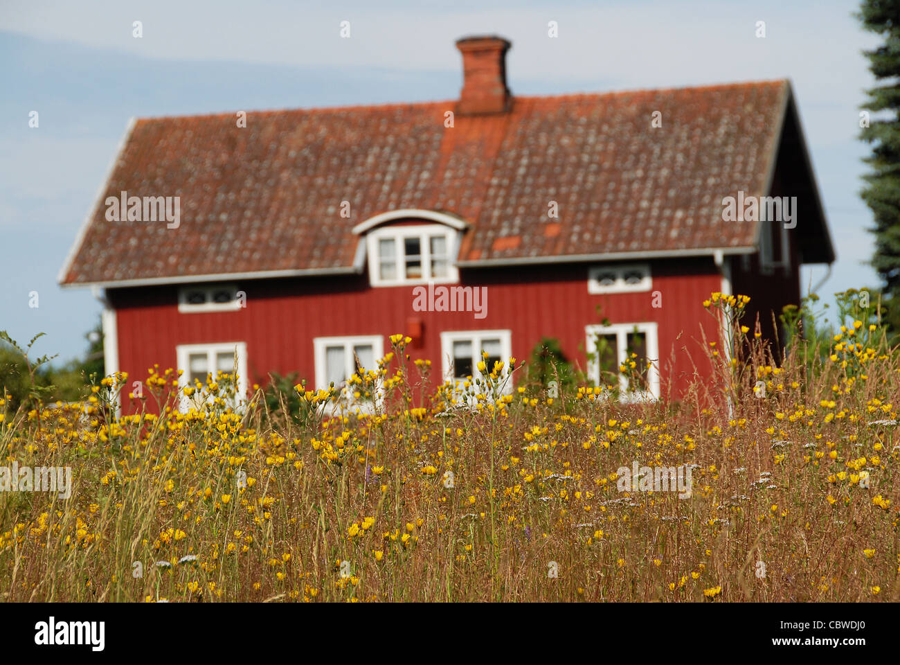 Typical swedish red house hi-res stock photography and images - Alamy