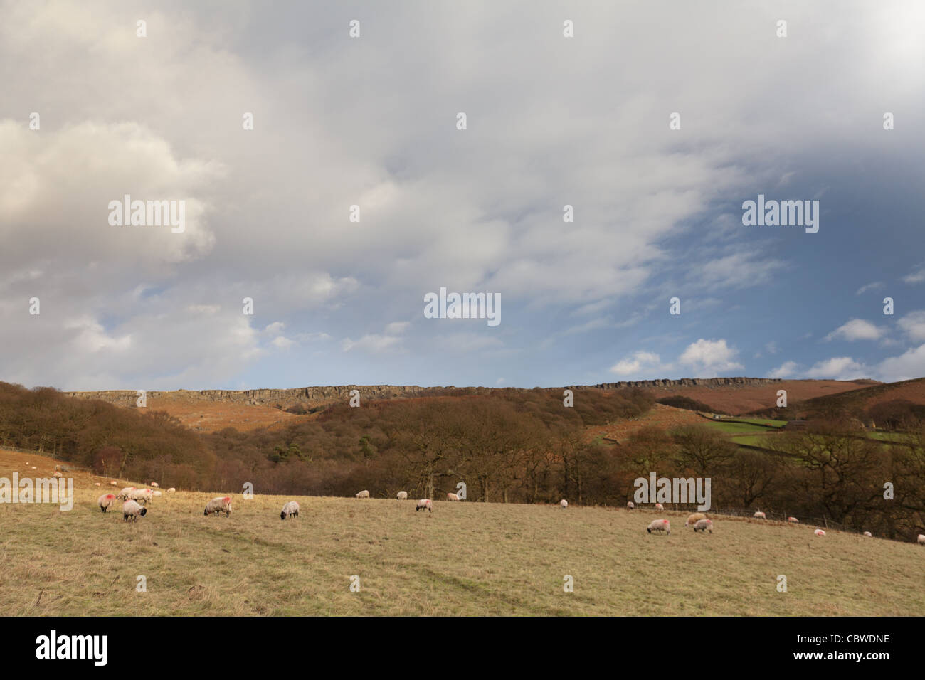 Stanage Edge in the Peak District National Park, Derbyshire,UK.One of ...
