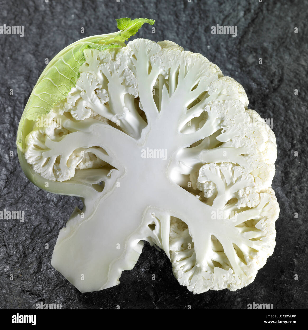 Longitudinal section flower hi-res stock photography and images - Alamy