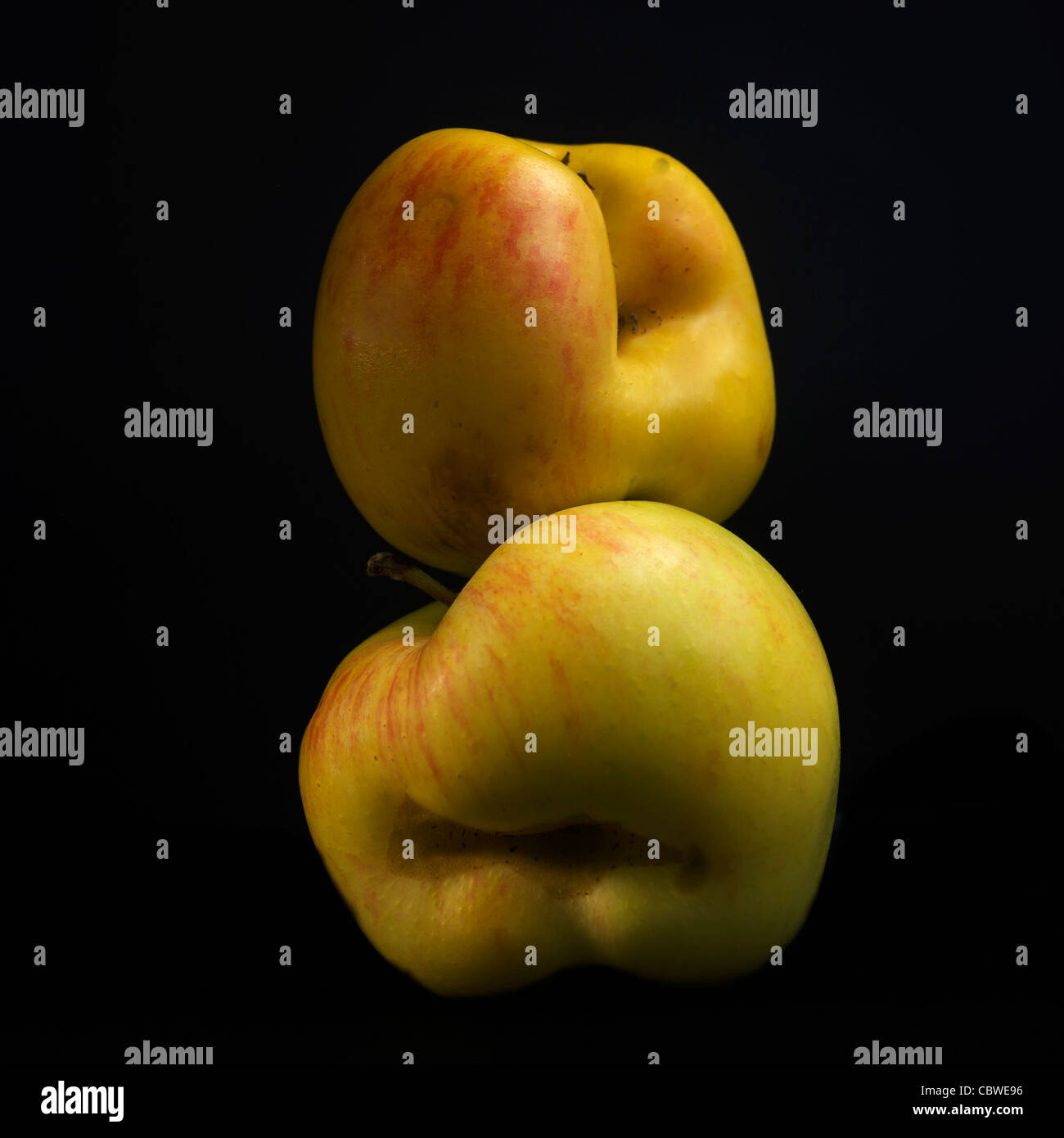 Unique yellow apples with irregular shapes against a black background ...