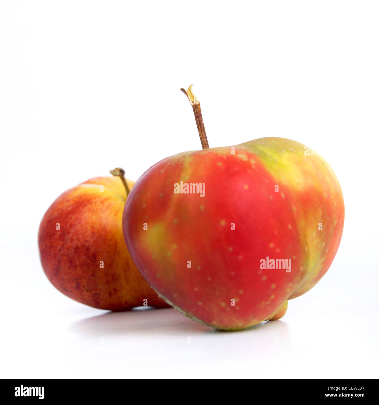 Fresh red and yellow apples on a white background showcasing their ...