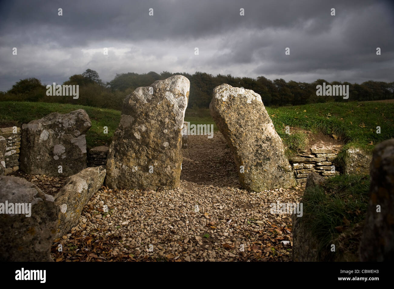 Nympsfield Neolithic Long Barrow near Stroud, Gloucestershire, UK Stock ...