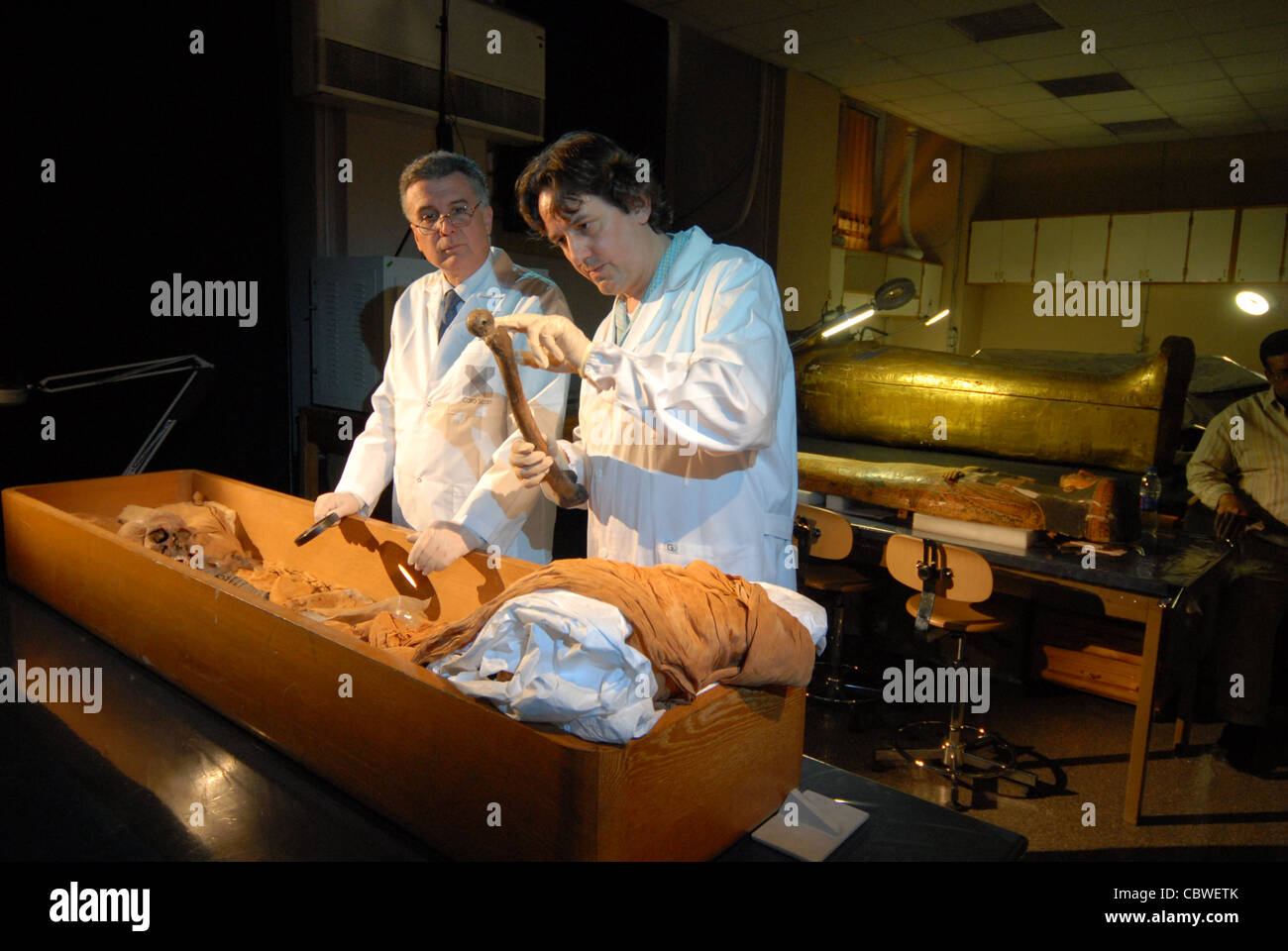 Mummification ancient egyptian mummies royal lineage teeth skull hi-res ...