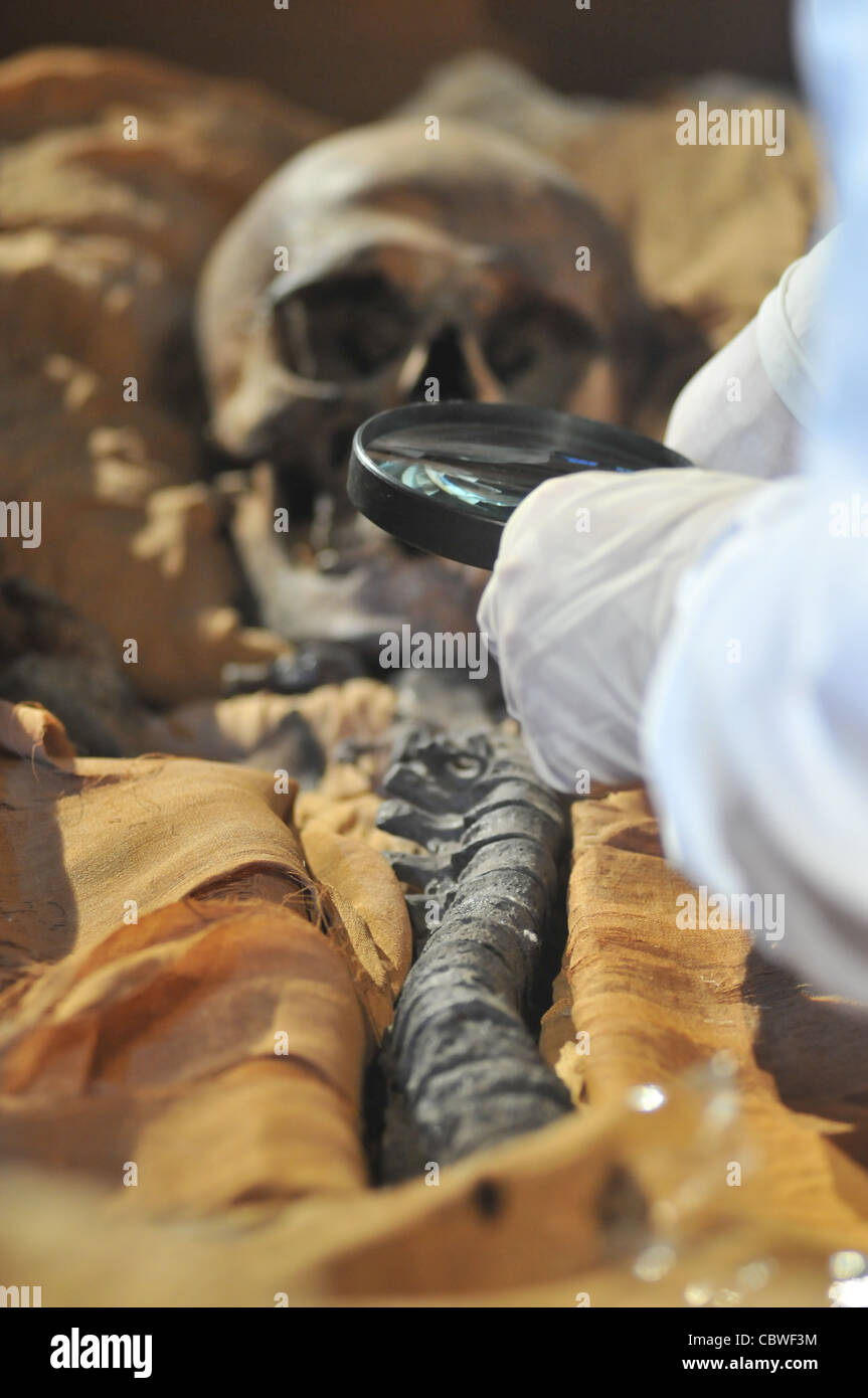 Mummification ancient egyptian mummies royal lineage teeth skull hi-res ...