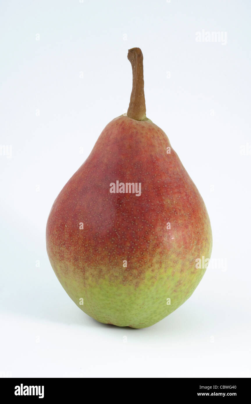 Clapps liebling hi-res stock photography and images - Alamy