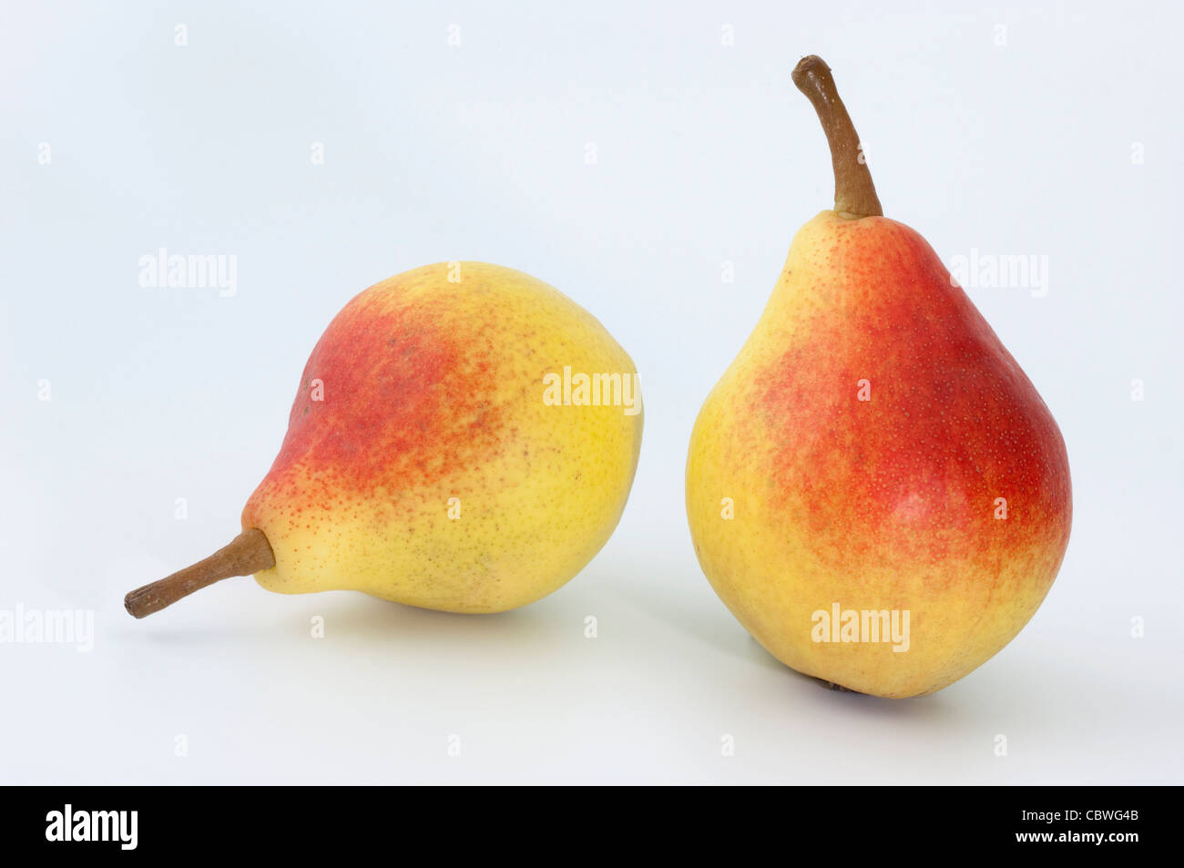 Clapps liebling hi-res stock photography and images - Alamy