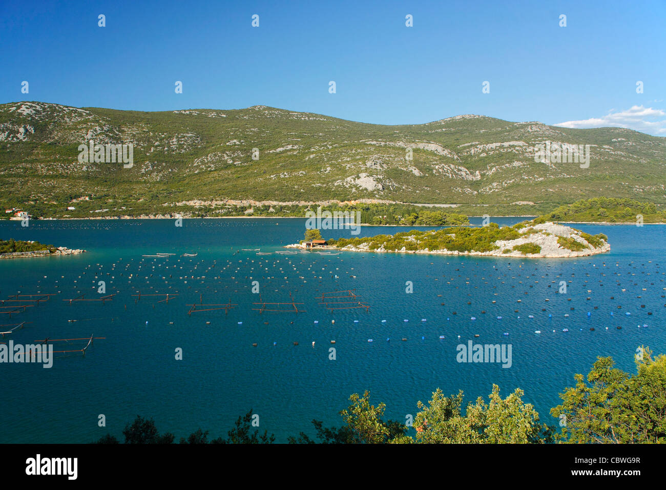 Oyster and mussel farming in Mali Ston Bay, Croatia Stock Photo - Alamy