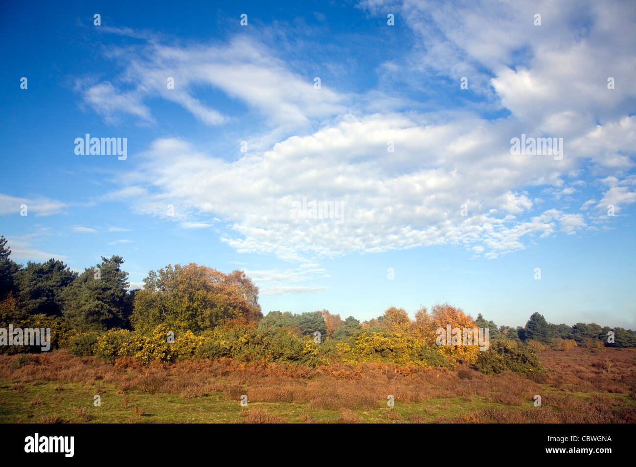 Blue sky landscape england hi-res stock photography and images - Alamy