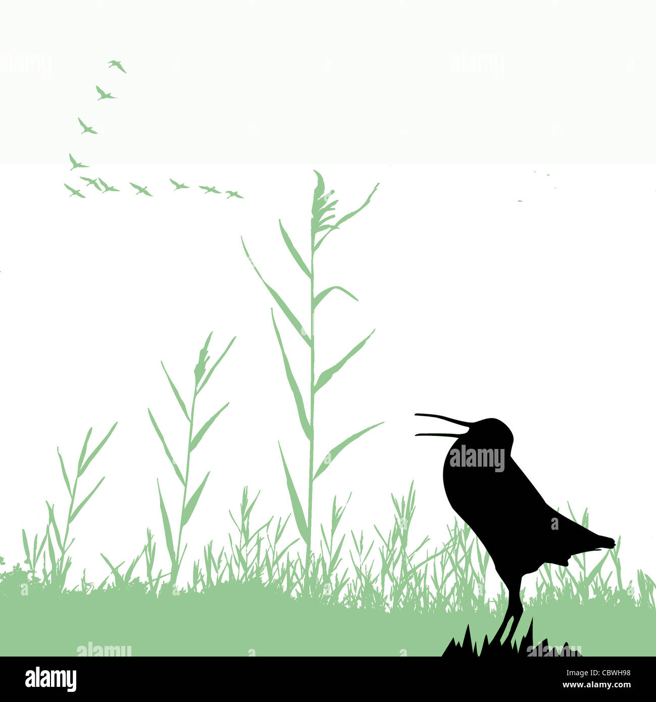 Snipe sign hi-res stock photography and images - Alamy