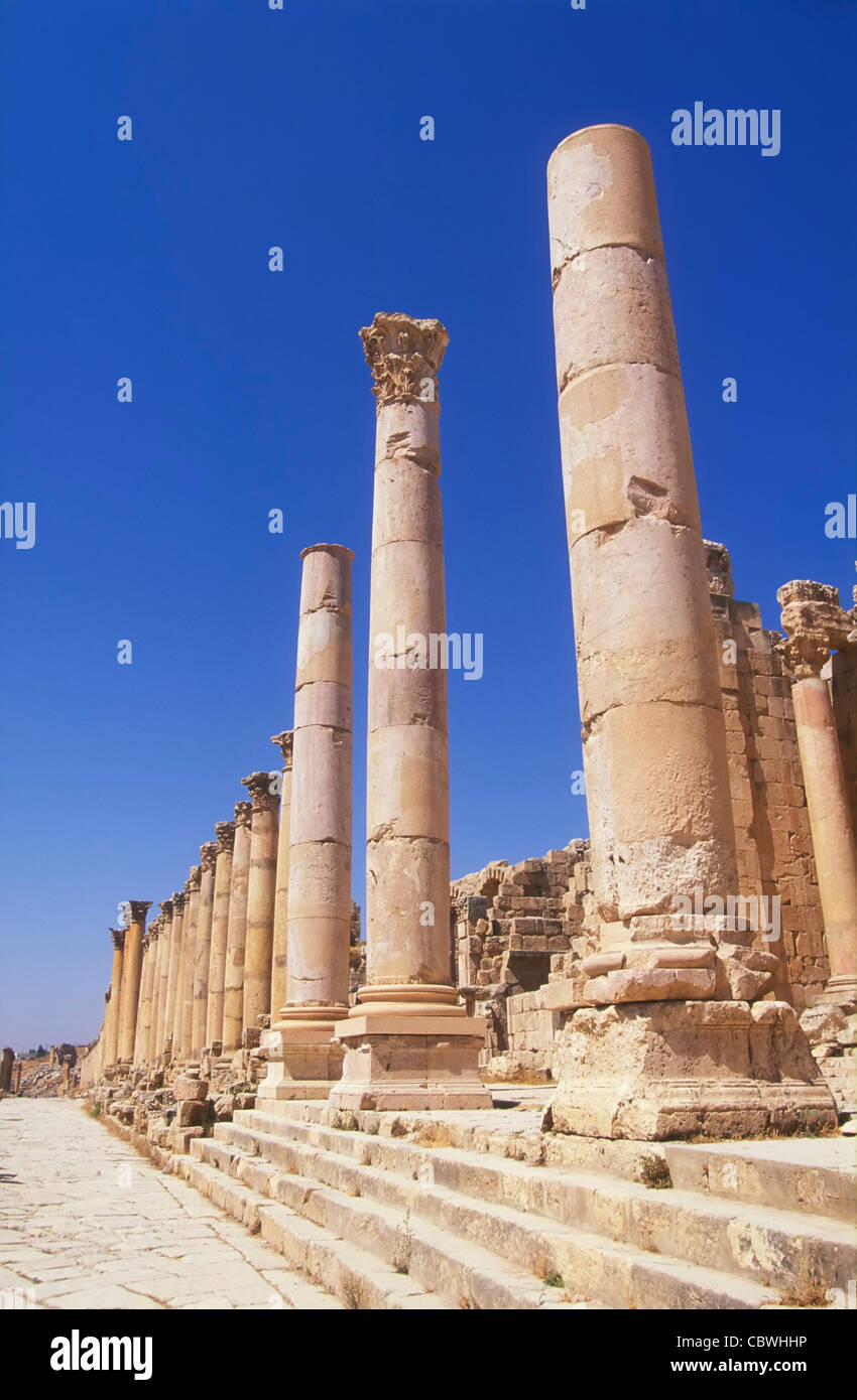 Limestone columns of the Cardo Jarash North Jordan Middle East Stock ...