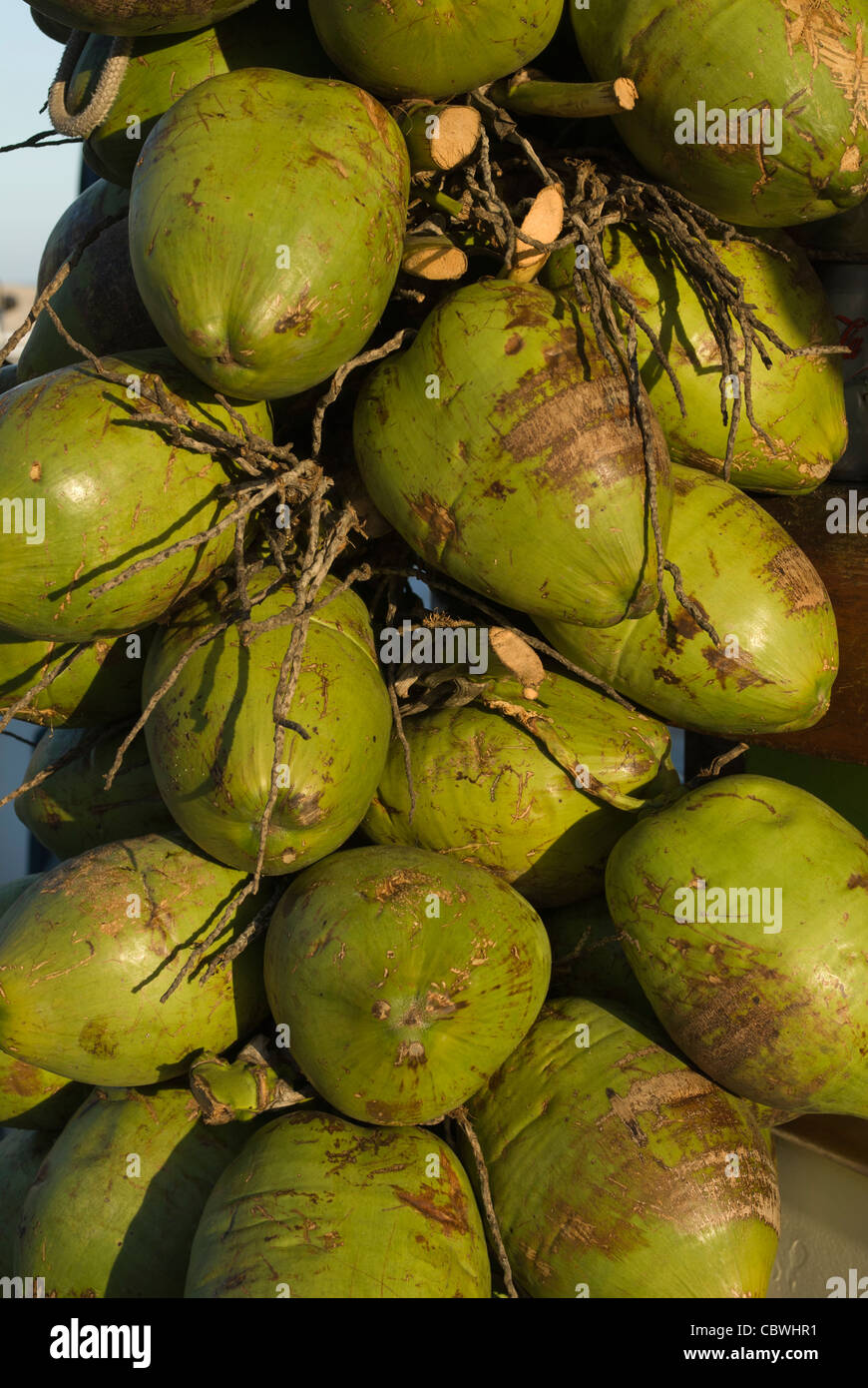 Natural coconuts hi-res stock photography and images - Alamy