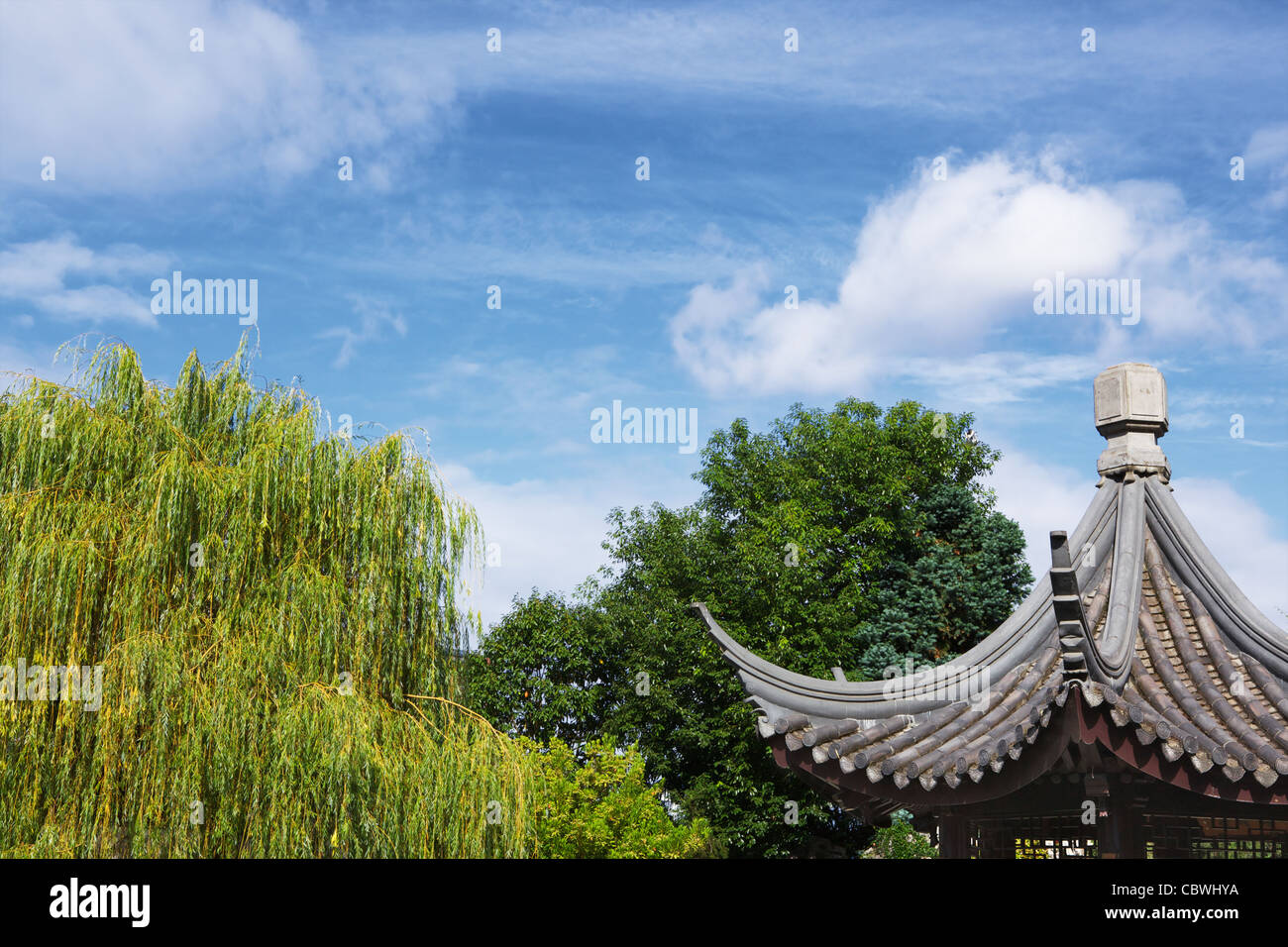 The top of a Chinese pagoda roof with a background of trees and ...