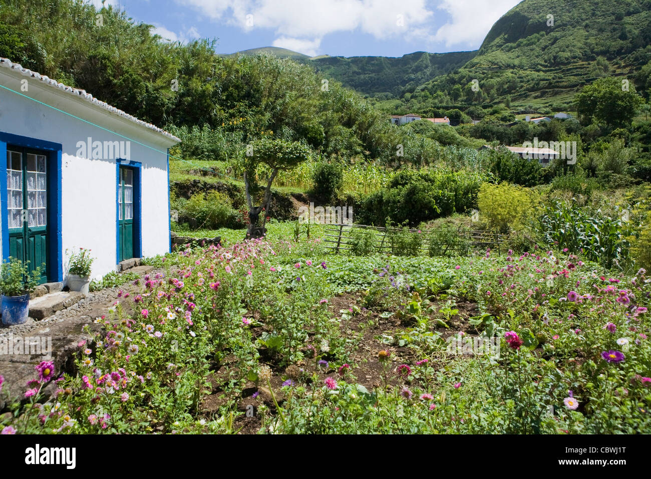 Azores landscape in lajes das hi-res stock photography and images - Alamy