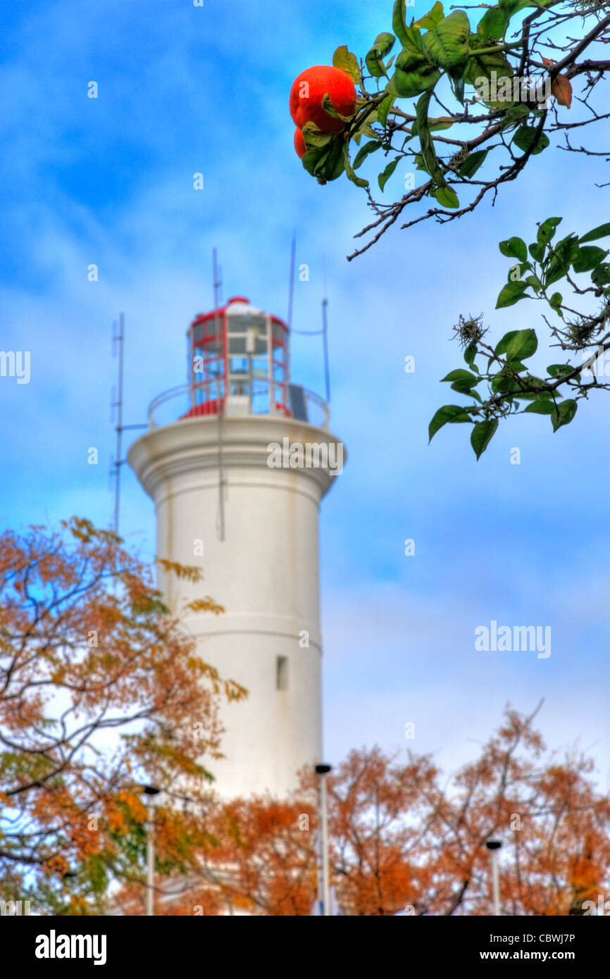 Old Lighthouse of Colonia del Sacramento with orange tree at foreground ...