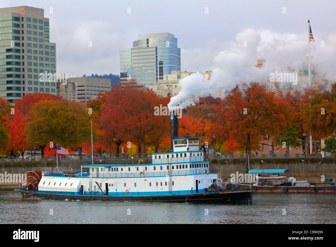 Steaming ferry paddle boat with softer background of trees and the city ...
