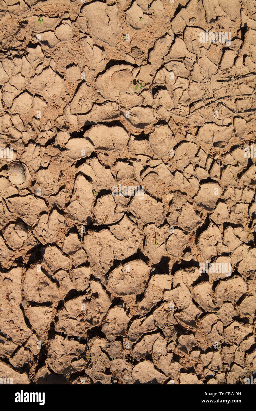 Pollution dirt mud hi-res stock photography and images - Alamy