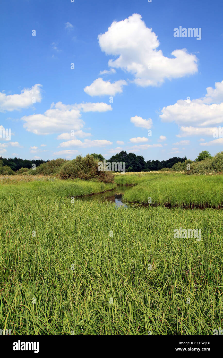 Summer small river High Resolution Stock Photography and Images - Alamy