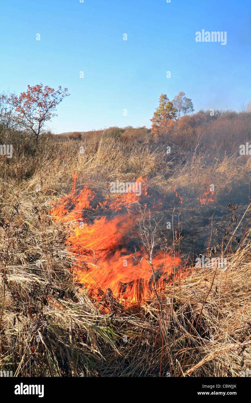 fire on autumn field Stock Photo - Alamy