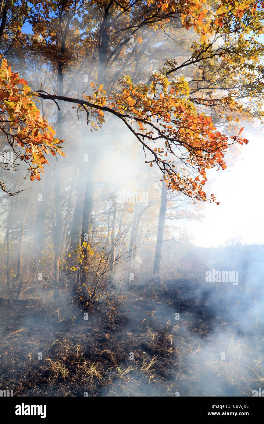 Autumn fire hi-res stock photography and images - Alamy
