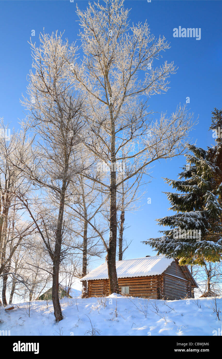 rural house amongst tree Stock Photo - Alamy