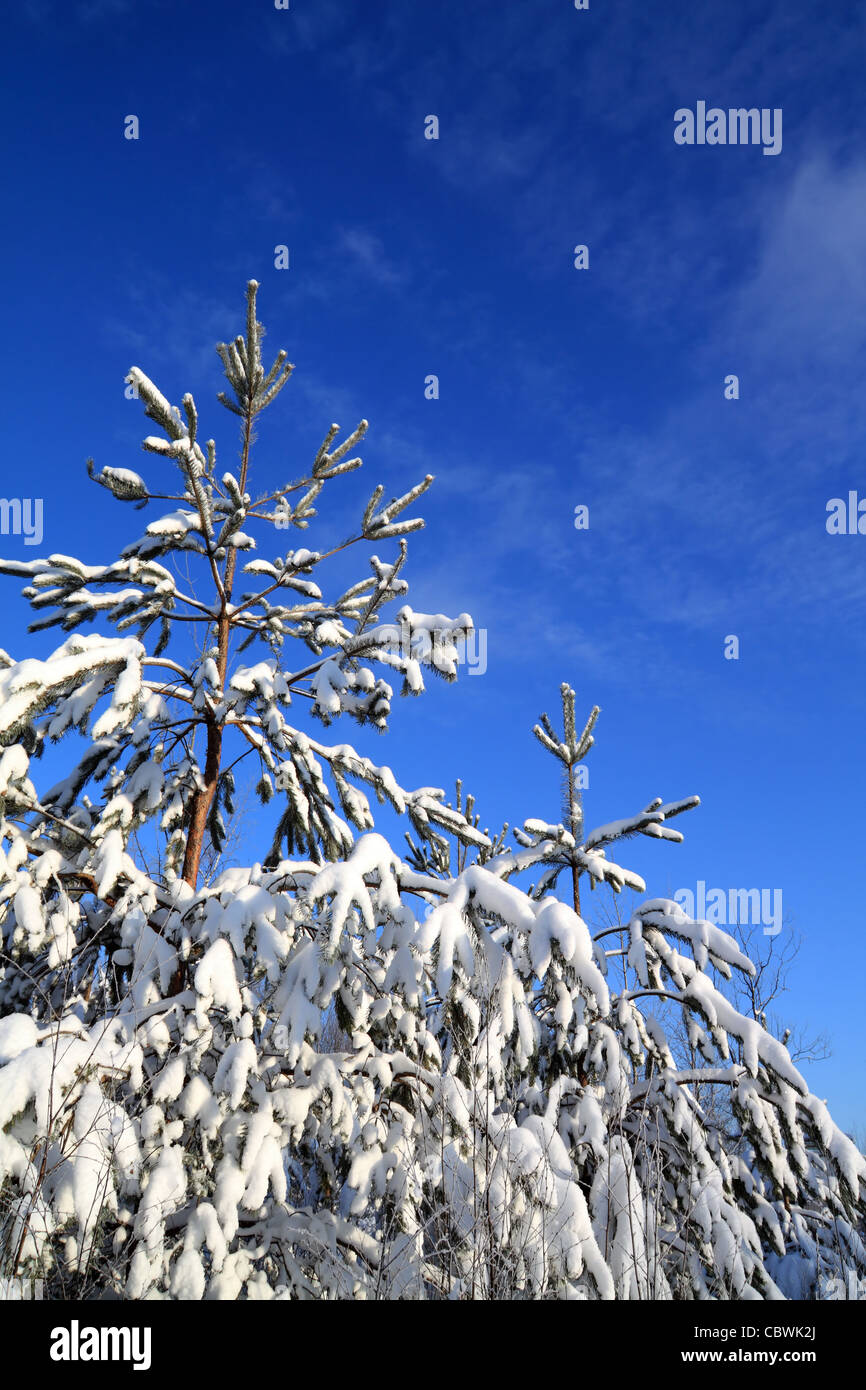 Celestial scene hi-res stock photography and images - Alamy