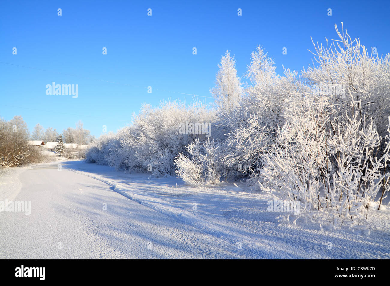 snow bushes on coast river Stock Photo - Alamy