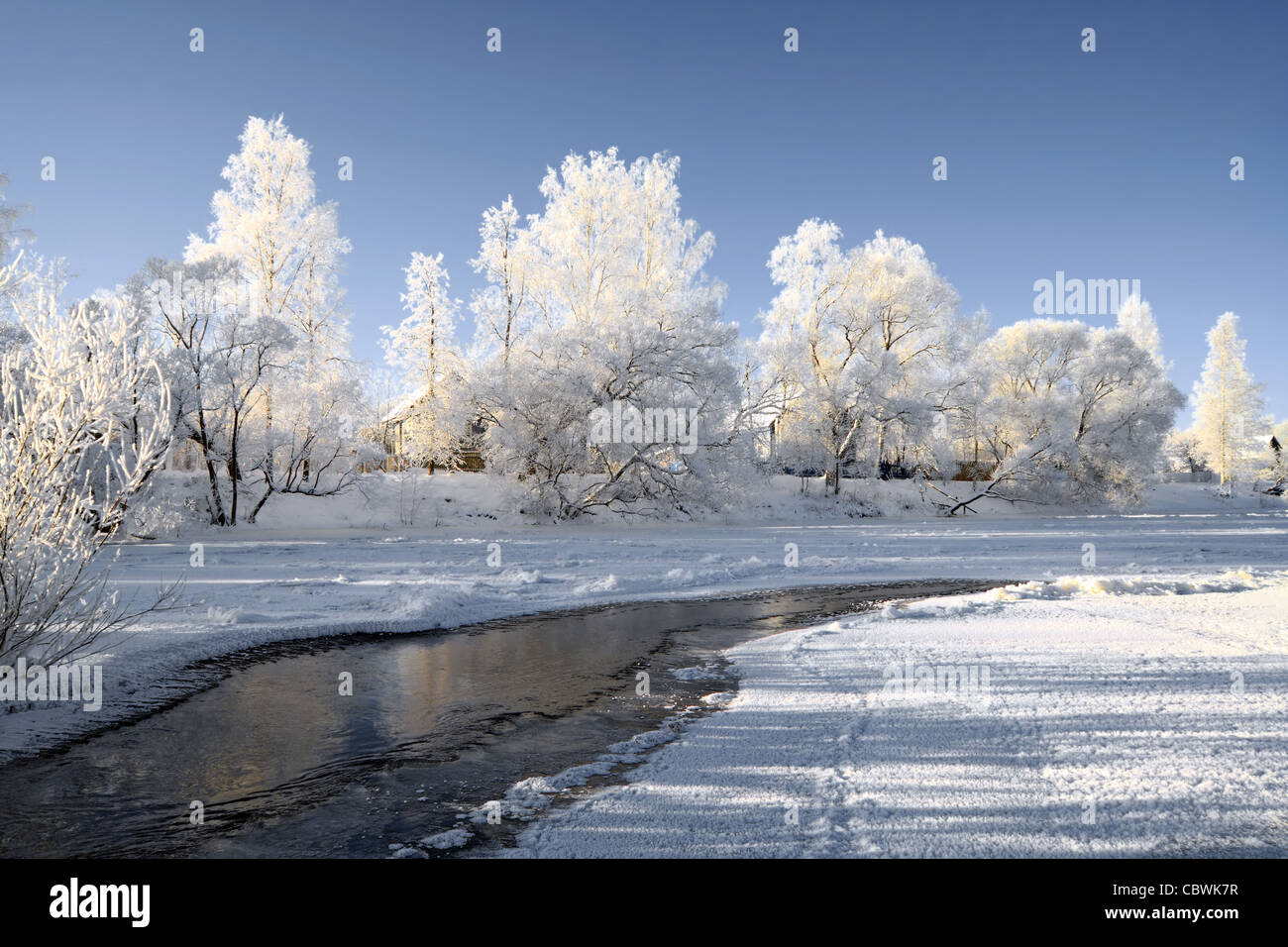 snow tree on coast river Stock Photo - Alamy