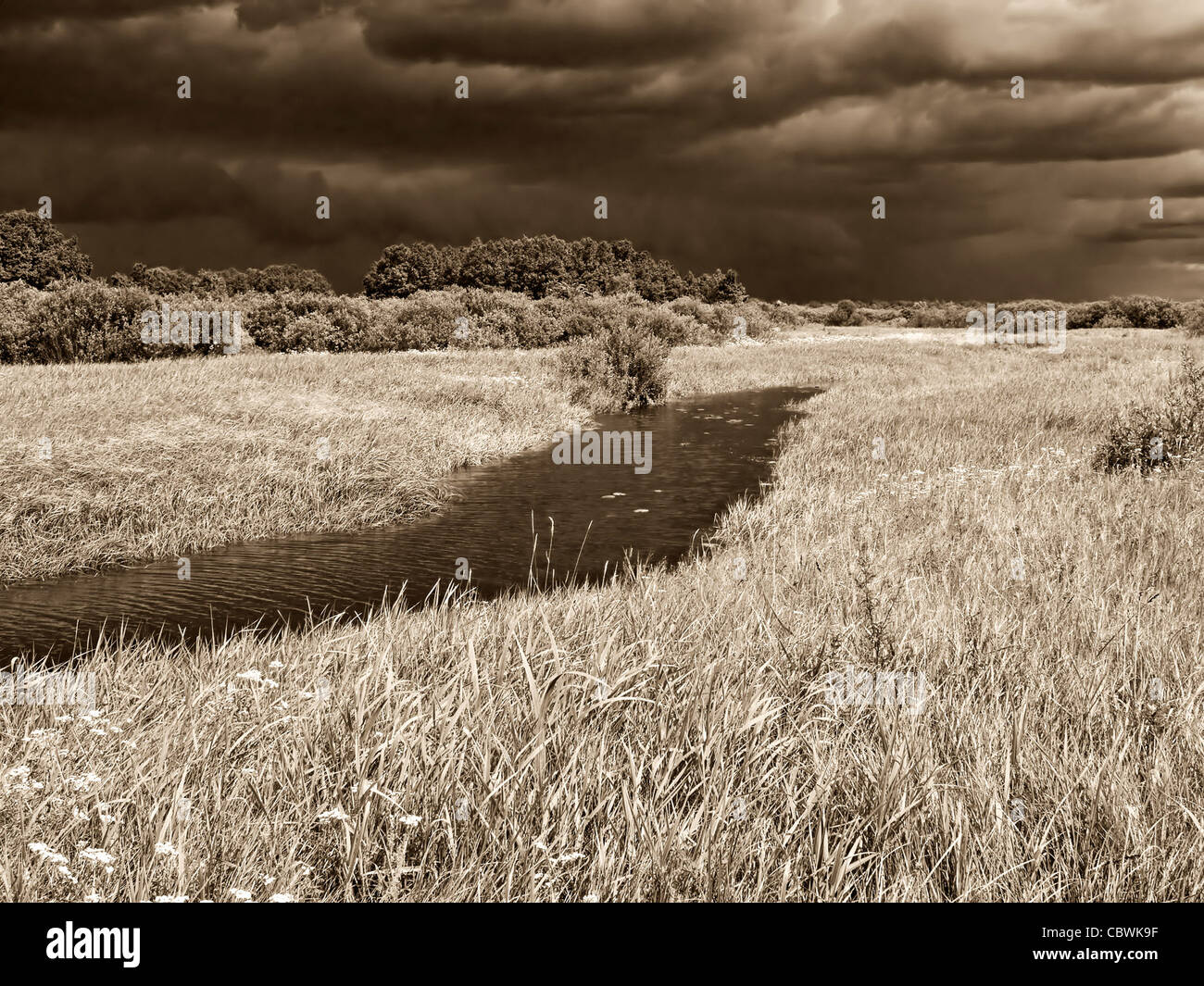 small river on field before thunderstorm Stock Photo - Alamy