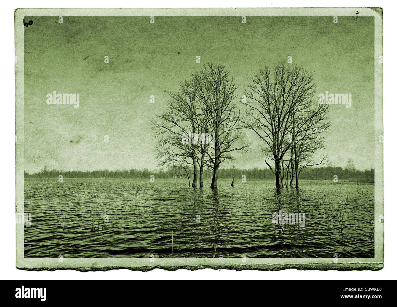 Old fashioned photo photographic album hi-res stock photography and ...