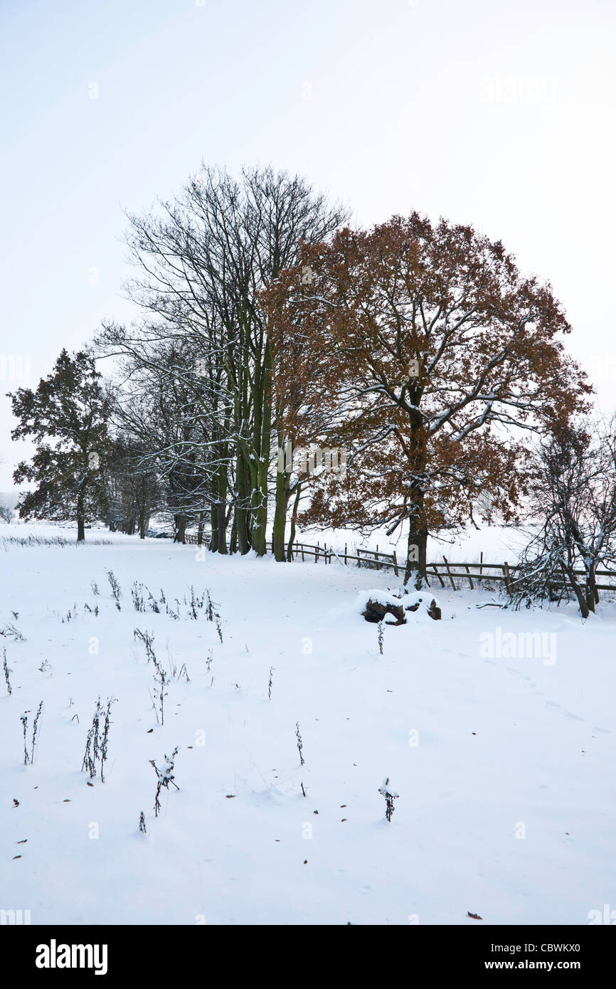 Natural landscape of a winters day Stock Photo - Alamy
