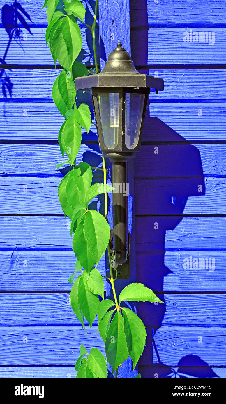 old torch on wooden wall Stock Photo - Alamy