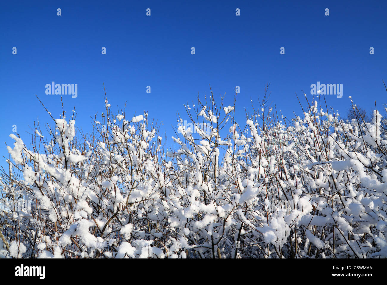 Snowed in rural hi-res stock photography and images - Alamy