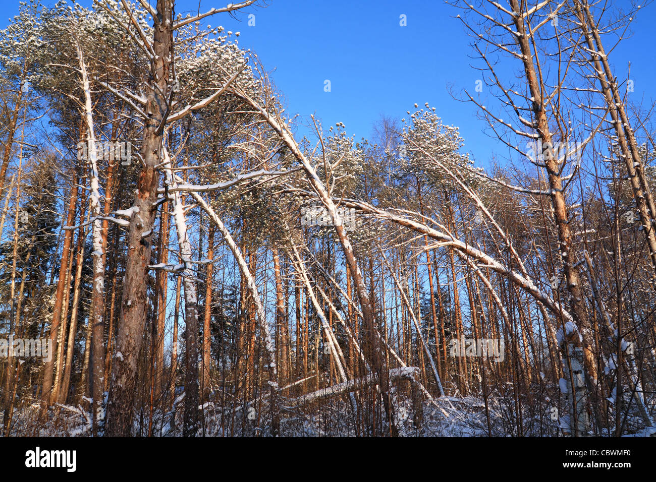 Windfall reserve hi-res stock photography and images - Alamy