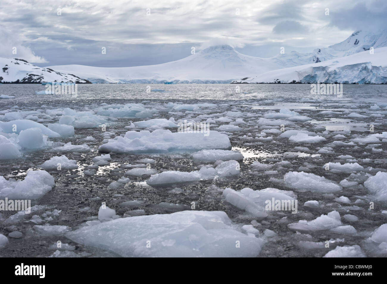 Antarctic peninsula port lockroy hi-res stock photography and images ...